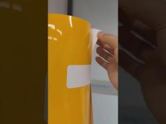 PET Liner Destacar película cristalina brillante de girasole amarillo