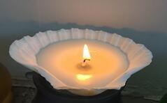 China 100% paraffin white scented shell candle  packed into gift box for sale