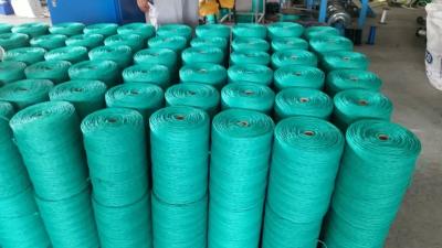 Cina 2.5 mm Tela verde in PE Tela di polietilene intrecciata in vendita