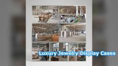 Luxury Minimalist Jewelry Display Case for Retail Stores