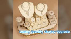 Luxury Velvet Jewelry Display Set for High End Retail