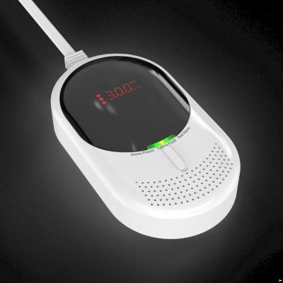 China LCD Display Carbon Monoxide Gas Detectors Industrial / Commercial AC Carbon Monoxide Detector for sale