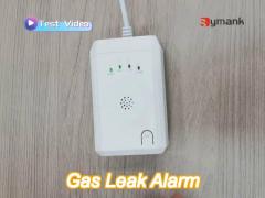 en50194 compliant natural gas detectors customized gas leak detector for home