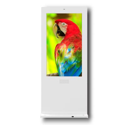 China 55 Inch IP65 Waterproof Outdoor Digital Signage with 3000 cd/m² Brightness for Retail Stores and Elevators for sale