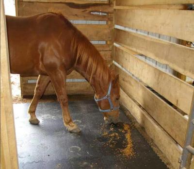 중국 견인 표면 마굿간 매트는 최저 충돌 트레일러 매트에 홈을 팠습니다 판매용