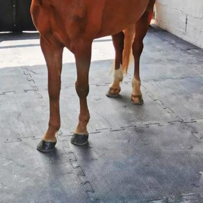 China Interlocking Portable Horse Stall Mats Hammered Surface 17mm Rubber Stable Mats for sale