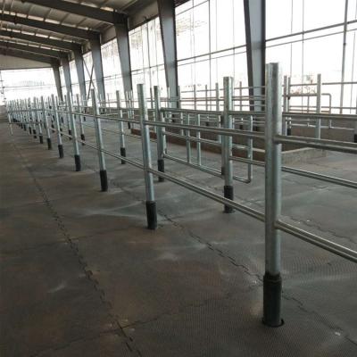 중국 CMC 말 고무 매트 편의시설 소프테이블 사용자 지정 색상 말 세정 우상 깔래 판매용