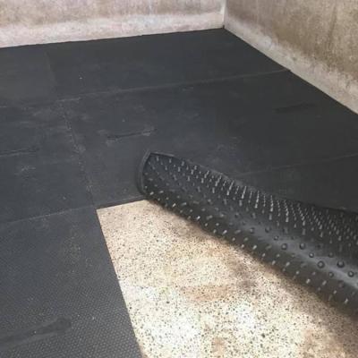 China SBR Material Equine Pool Mats Comfortable Safe Rubber Stable Mats for sale