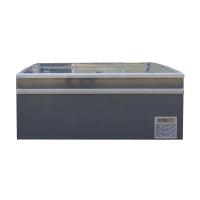 China OCEANUS Series Static Cooling Freezer Display Case with Low-E Sliding Top for sale