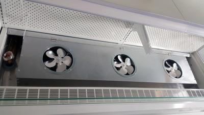 Cina Il refrigeratore verticalmente commerciale dell'esposizione/apre il frigorifero dell'esposizione a basso rumore in vendita