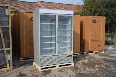 Cina Portata commerciale nella doppia porta di vetro del congelatore con il compressore di Secop per l'esposizione del gelato in vendita