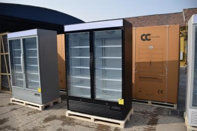 Cina Portata commerciale nella doppia porta di vetro del congelatore con il compressore di Secop per l'esposizione del gelato in vendita