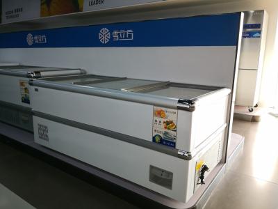 中国 R290はアイス クリームの習慣のためのジャンボ島のフリーザーで差し込む 販売のため