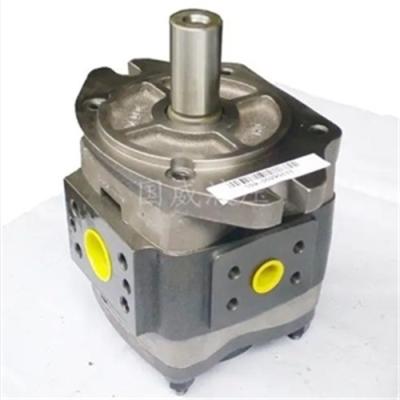 China Voith Gear Pump for sale