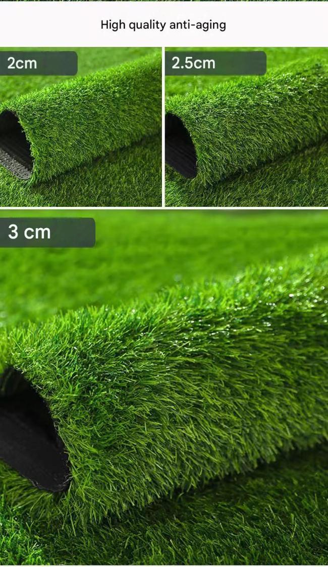 Close-up of grass blade structure