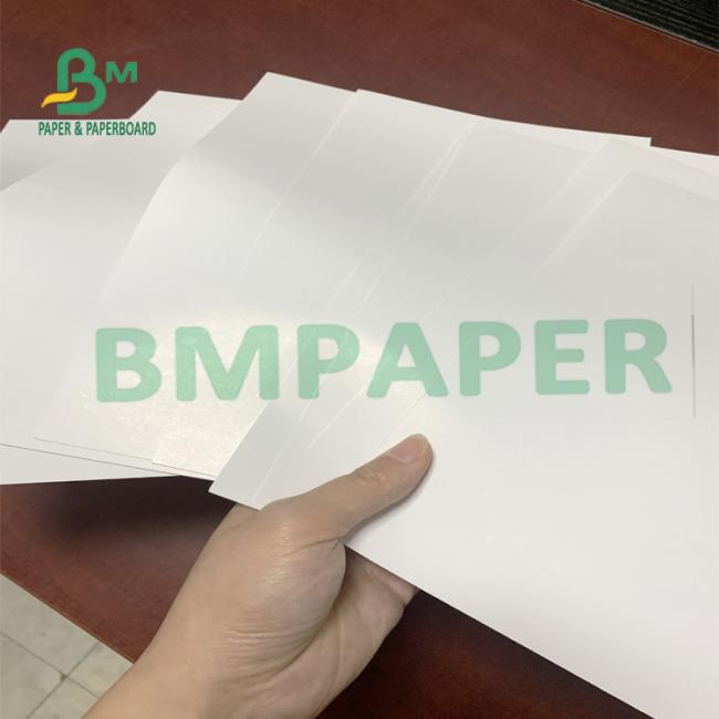 140gsm - 300gsm High Whiteness Glossy Coated Paper For Color Pictures