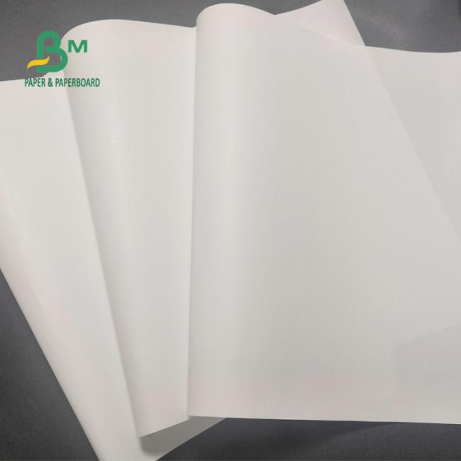 rotolo di carta termico 65gsm per immagine BPA 600mm x 9000m liberi del registratore di cassa la chiara
