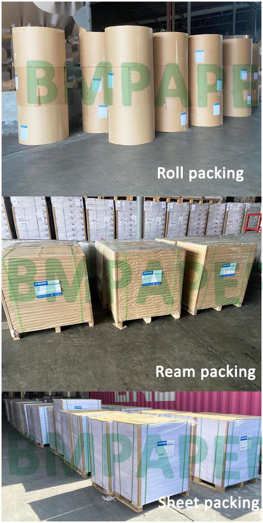 Top White Coated Food Card Stock 215gsm Food Container Board