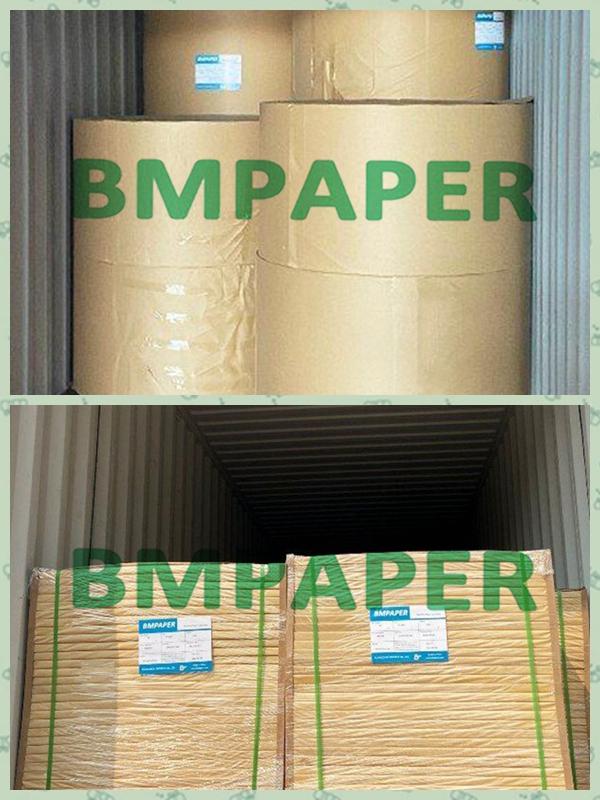 120 GSM White Uncoated Sheet Offset Printer Paper For Flyers