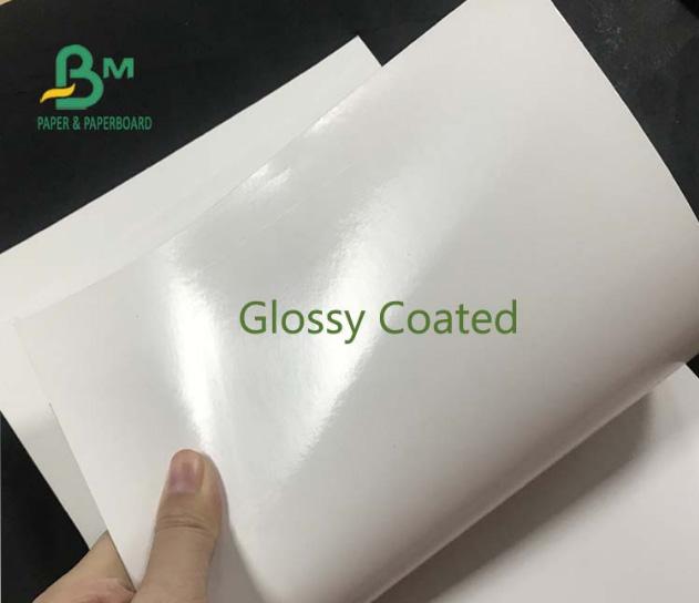 Food Grade 210 / 230g + 15g Poly Coated White Cupstock Board Rolls For Cup Paper, Bowl Paper