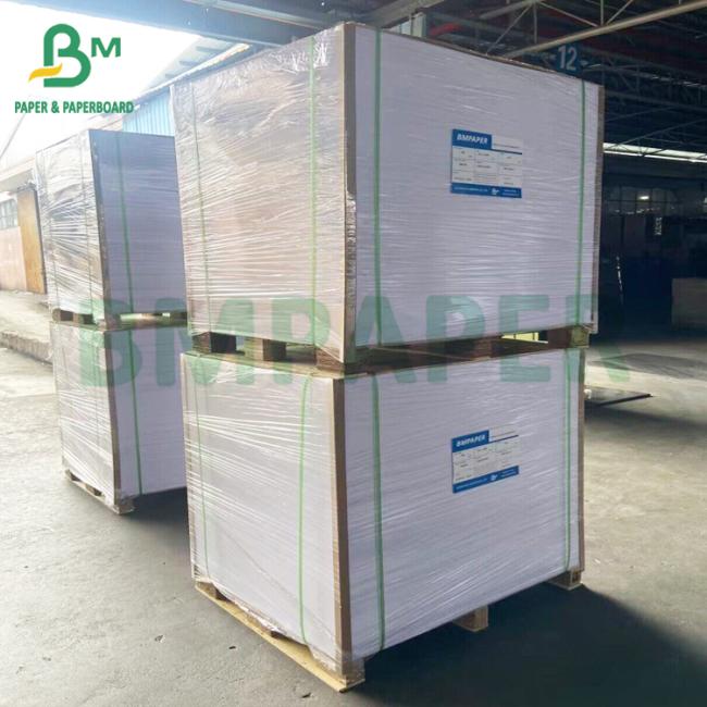 Single PE Coated Lunch Box Board White White For Food Packaging