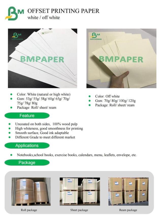 65g 75g 80g Book Paper White Color Cream Color Uncoated Plain Paper 622mm X 810mm