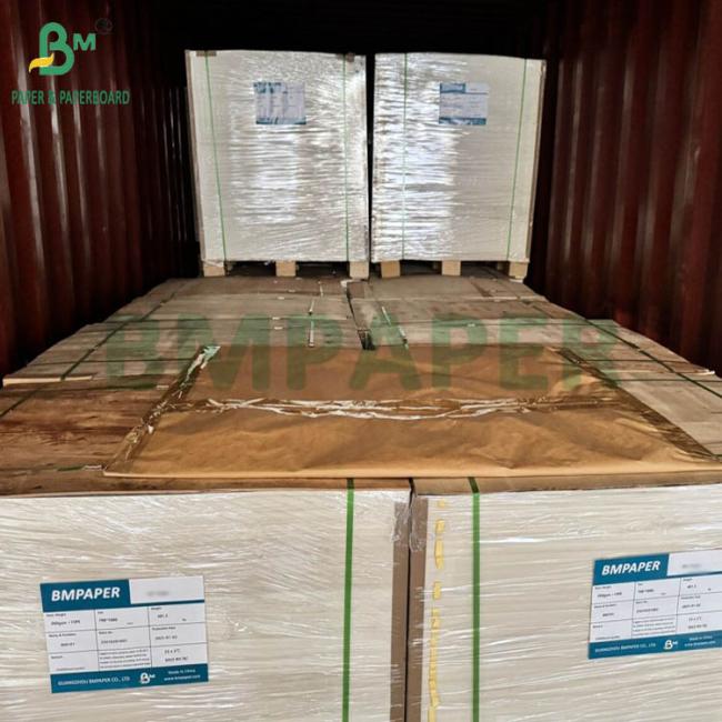 250gsm 275gsm + 15g PE Coated One Side Food Grade Paperboard For Frozen Food Packaging 740x1060mm 