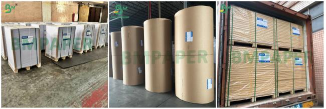 Liquid Proof White & Brown Cupstock Paper Laminated with PE Coating