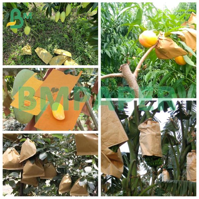 55gsm Fruit Protection Paper Bags Paper Brown Kraft Protection Cover Paper