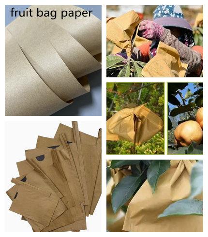 80gram 370mm 380mm Width Growing Bag Mango Paper For Protect Fruit