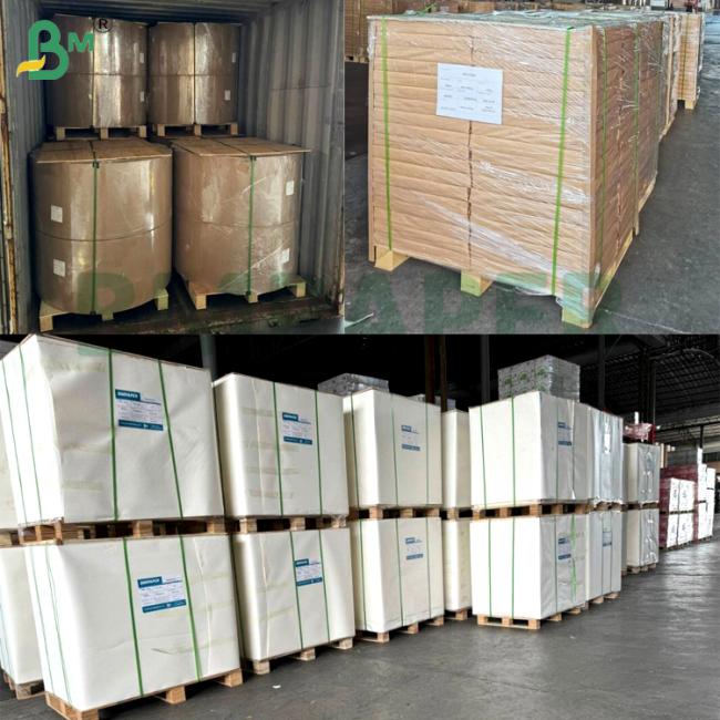 Single / Double Side PE Coated Cup Stock Paper Board 250g + 15gsm for Bowls & Cups
