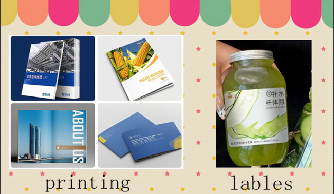 8.5 X 17inch 70gram 80gram Offset Printing One Sided Coated Art Paper For Brochures