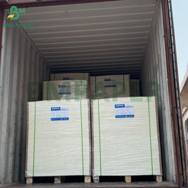 300g PET Laminated Food Grade Tray Liner Paper Rolls 635mm High Temperature