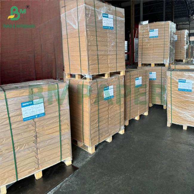 Heat-resistant PET Coated 315gsm White Paperboard For making Food Container