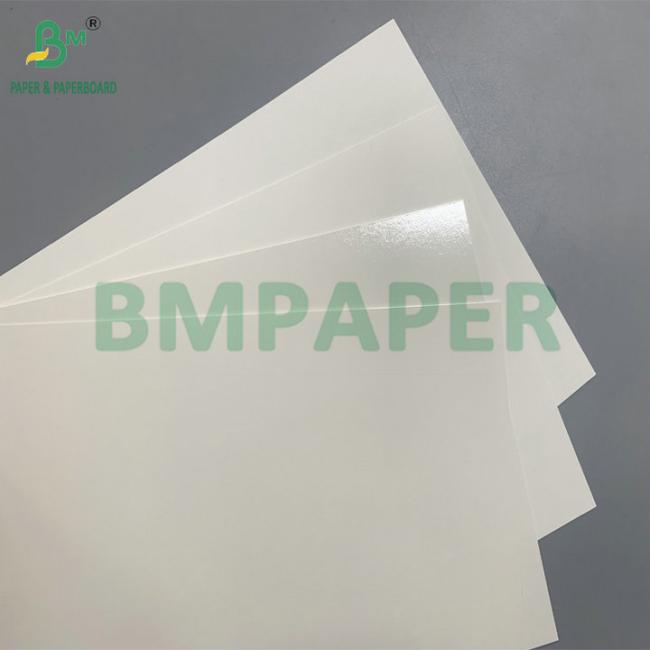 Heat-resistant PET Coated 315gsm White Paperboard For making Food Container