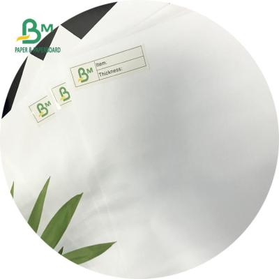 China 60G 70G 80G 90G Uncoated Plain White Woodfree Offset Printing Paper Sheets 24 * 38