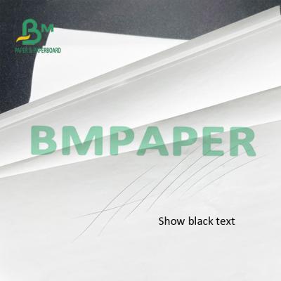 China 55 GSM Thermal Receipt Printer Paper Rolls BPA Free For POS for sale
