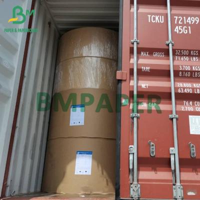 China Food Grade 210 / 230g + 15g Poly Coated White Cup Stock Paper Board Rolls For Cup Paper Bowl Paper for sale