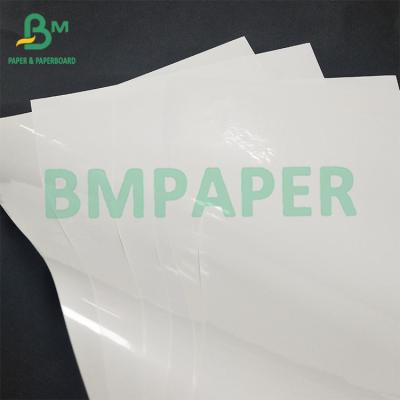 China Strong Moisture Resistance And High Stretch Wet Strength Paper Waterproof Bleached Beer Bottle Labels Paper 70g 80g 90g for sale