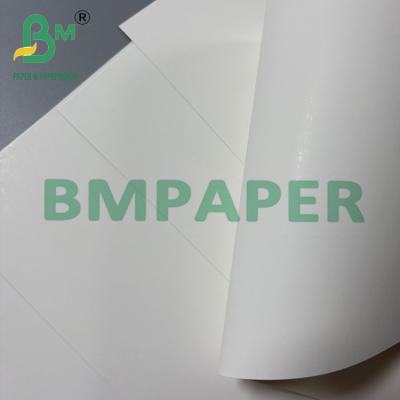 Cina 250 gm di cartone naturale bianco Folding Box Board FBB SBS 70 * 100cm in vendita