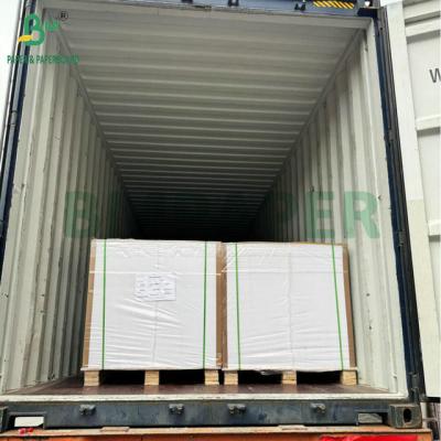 China 240g 260g Papel puro para impressão de coposPapel para fazer copos de café à venda