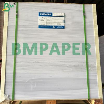 Cina Rivestimento in PET Contenitore sicuro per alimenti Carta resistente alla temperatura per riscaldare gli alimenti in vendita