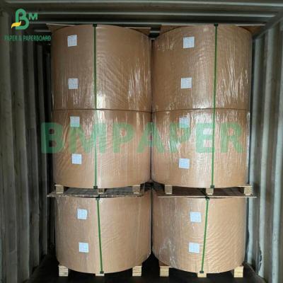 China 35gsm 50gsm White And Brown Bamboo Pulp Coffee Filter Paper For Filter Coffee for sale
