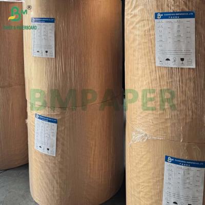 China 240gsm 245gsm 260gsm Foodpack Greaseproof GC1 Board Kit 5 Kit 6 In Roll for sale