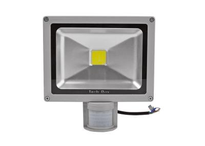 China Farm Security 30W  LED PIR Floodlights Cold White LED Flood Light for sale