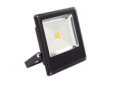 China Cold Color Waterproof LED Floodlights 30W IP66 For Balcony Lighting for sale