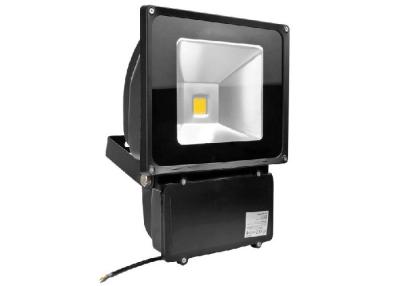 China High Powered 100Watt Outdoor LED Floodlights For Villa and Gym Lighting for sale