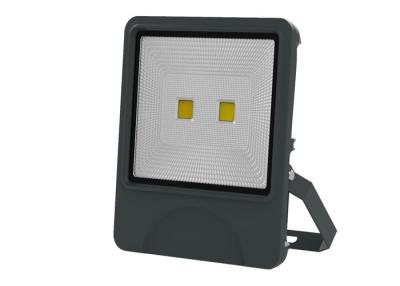 China 100W COB Commercial LED Flood Lights Different Color Housing Optioanl for sale