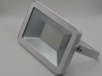 China Three Years Warranty Cold White LED Flood Light Slim 50W With Driver for sale