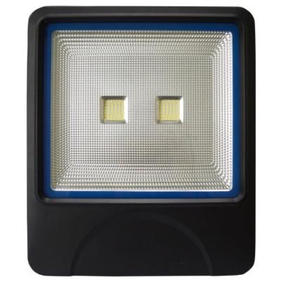 China Epistar COB LED Flood Light 100W Black Silver Outdoor With 3 Years Warranty for sale
